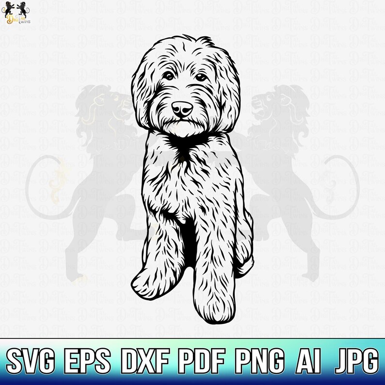 Labradoodle Svg Labradoodle Clipart Labradoodle Cricut - Etsy