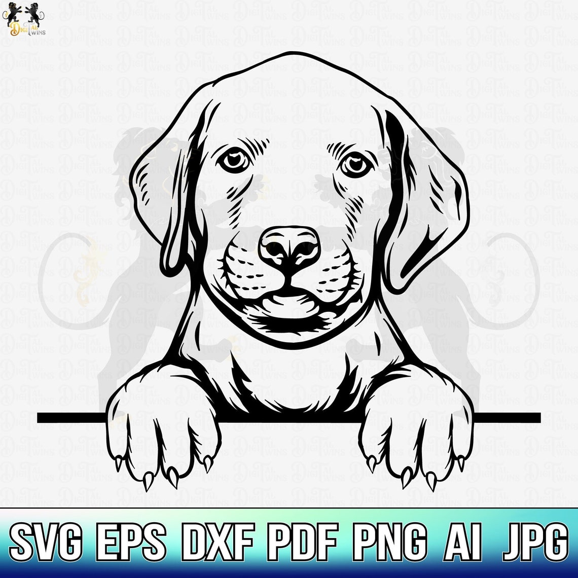 Puppy Labrador Svg Labrador Retriever Svg Labrador Clipart - Etsy