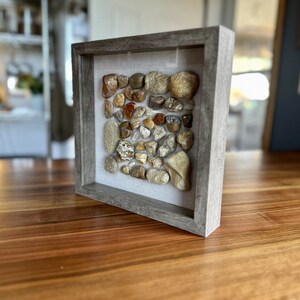 Lake Michigan Rock and Fossil Shadow Box - Etsy