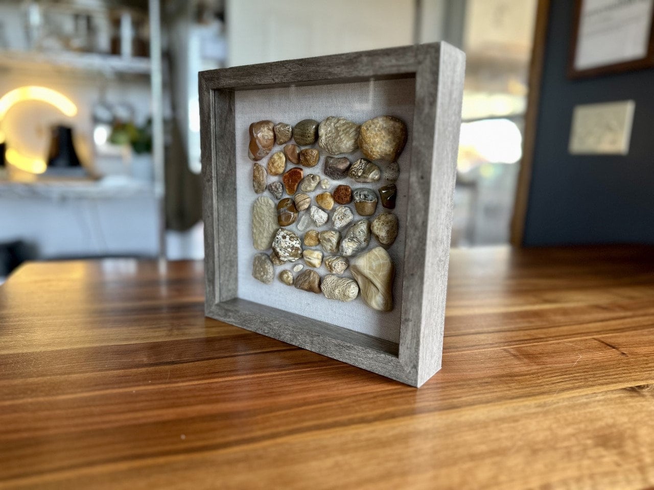 Lake Michigan Rock and Fossil Shadow Box - Etsy