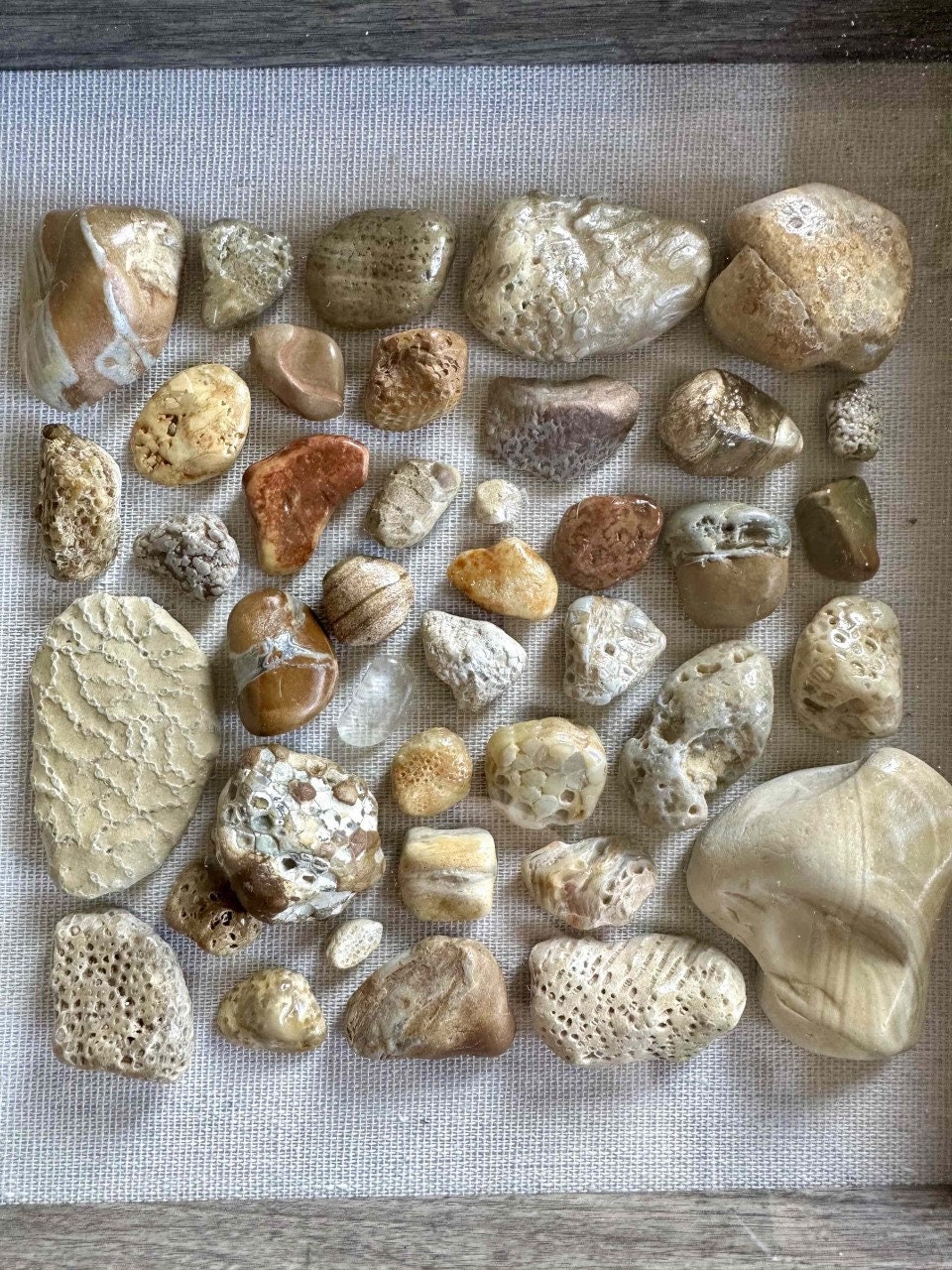 Lake Michigan Rock and Fossil Shadow Box - Etsy