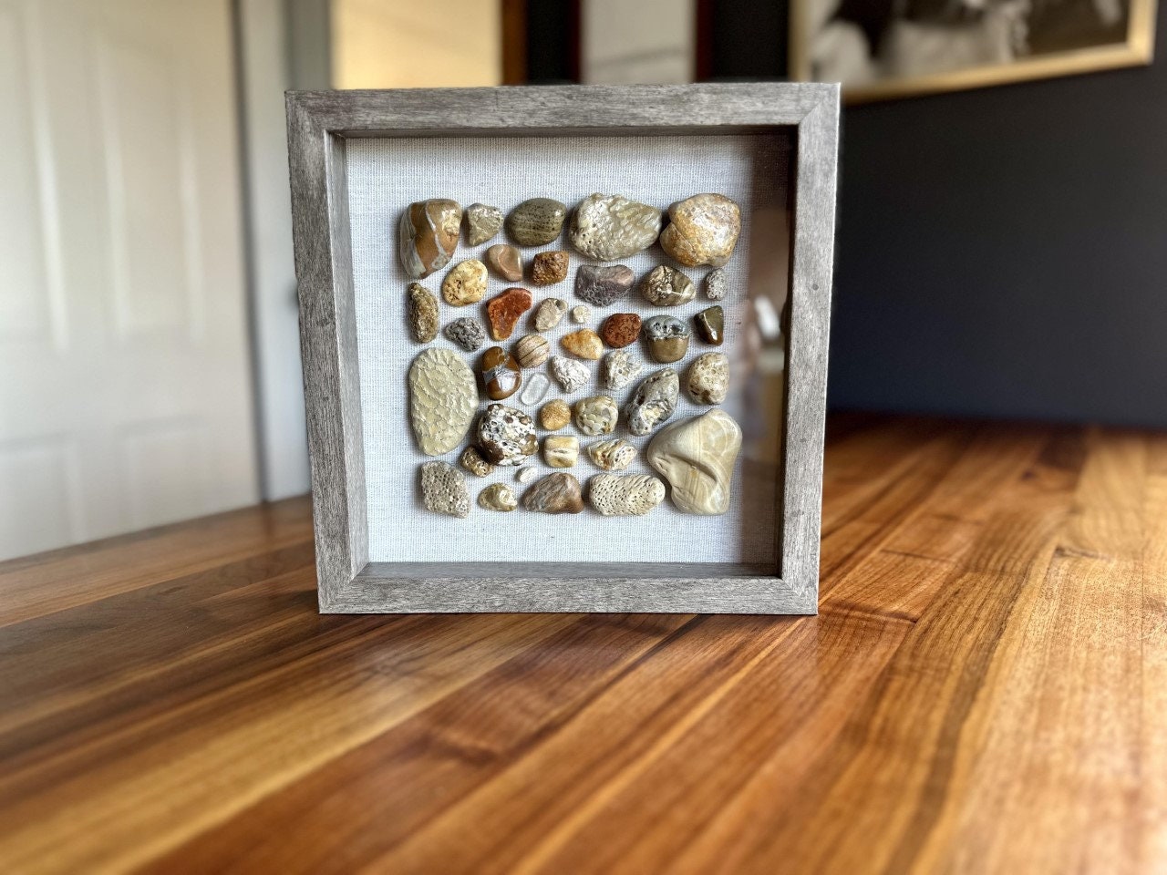 Lake Michigan Rock and Fossil Shadow Box - Etsy