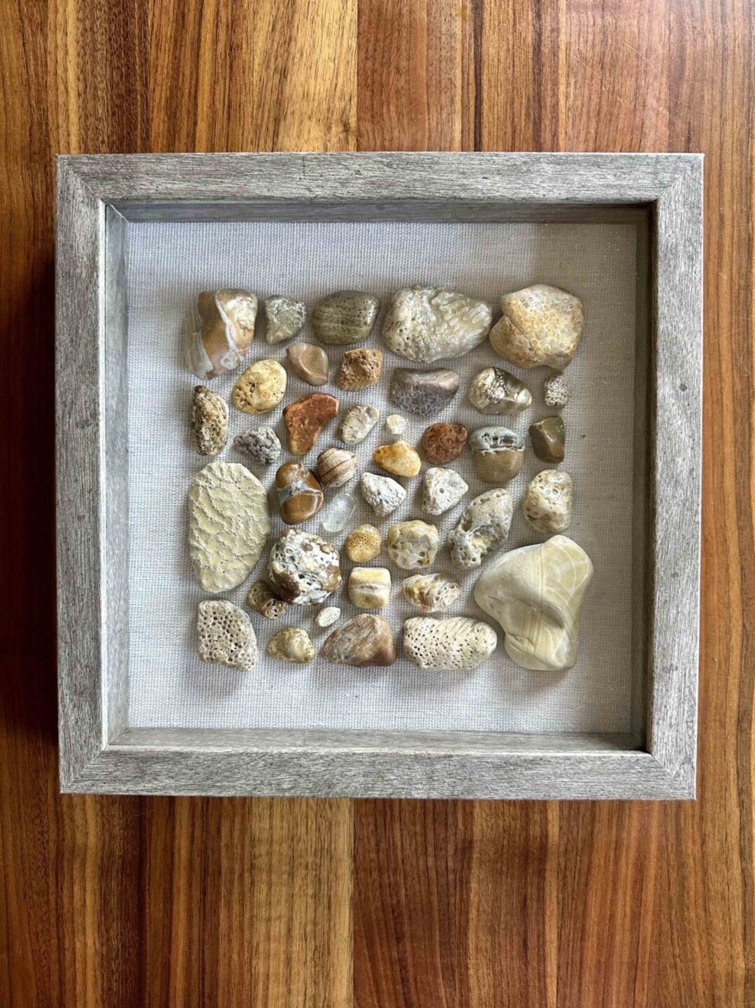 Lake Michigan Rock and Fossil Shadow Box - Etsy