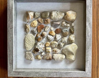 Fossil Shadow Box - Etsy
