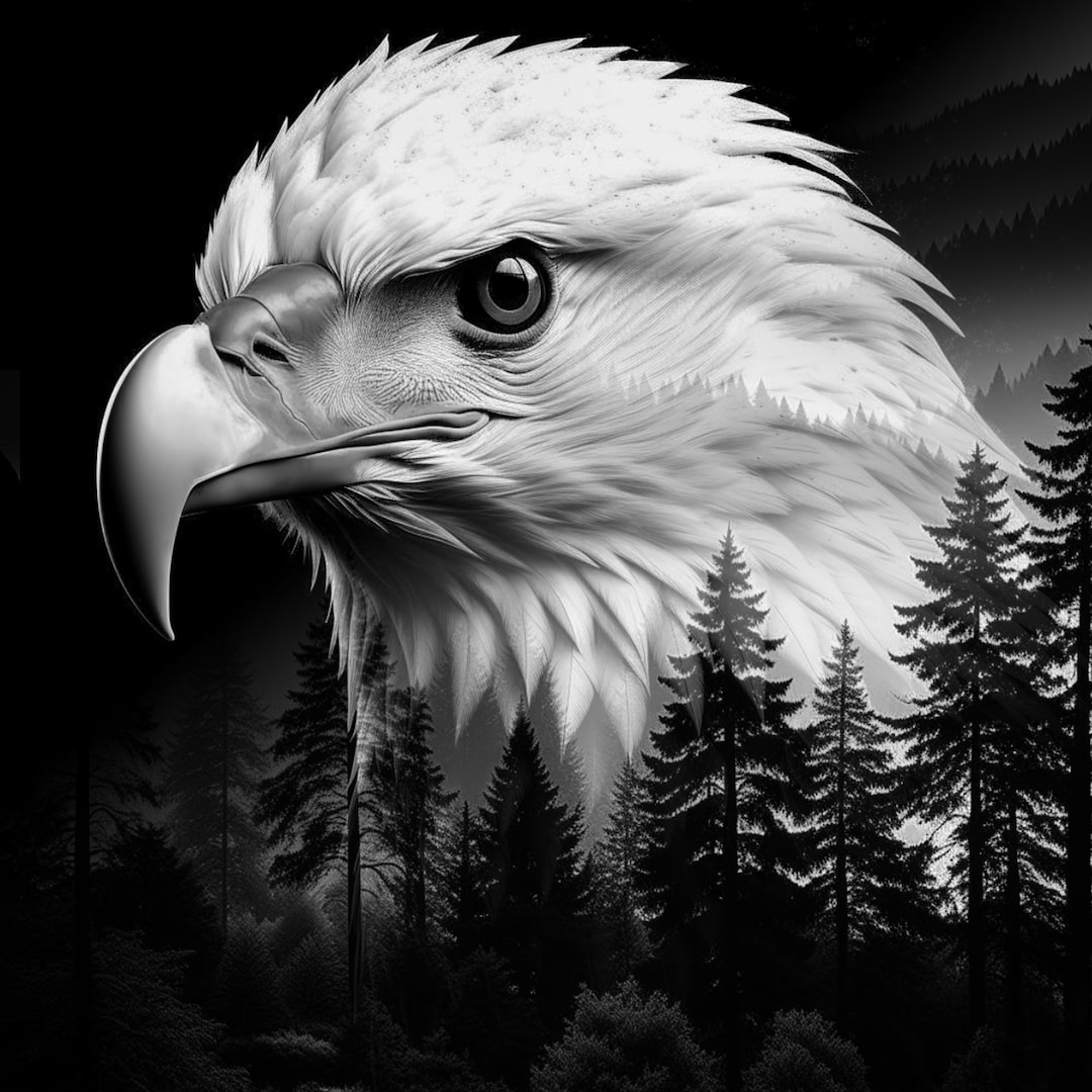 Laser Burn PNG, Slate Engraving, Laser File, Coaster Etching, American ...