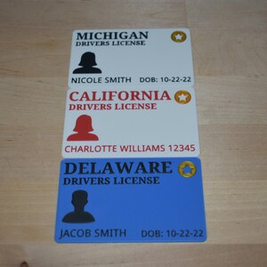 Personalized Play Drivers License | Toy for Kids! - Etsy