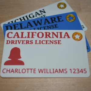 Personalized Play Drivers License | Toy for Kids! - Etsy