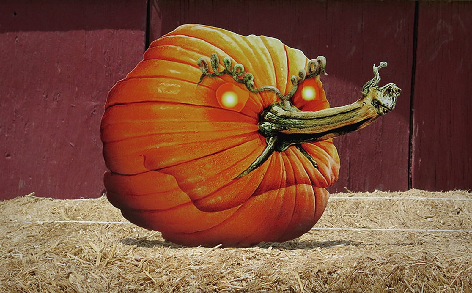 Cyrano-the-pumpkin Official Crumpkin's Pumpkins' Halloween Decoration ...