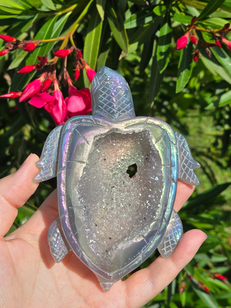 Turtle Aura Agate Turtle Druzy Agate Turtle Agate Crystal Turtle ...