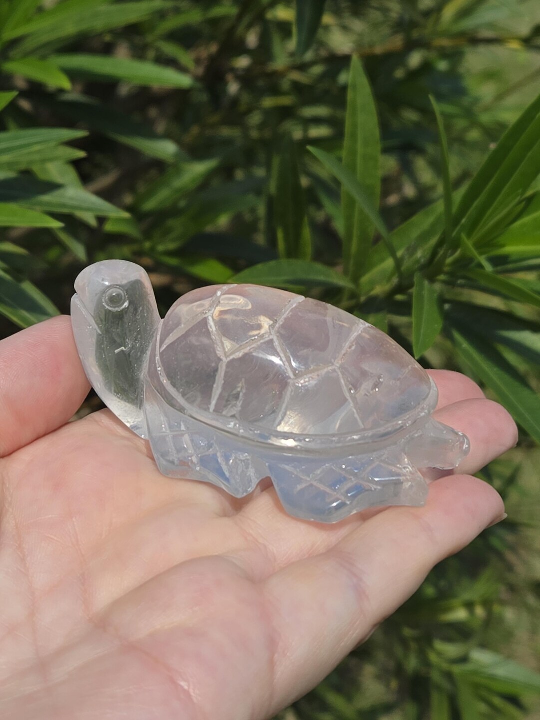 Turtle Crystal, Clear Quartz Turtle Carving - Etsy