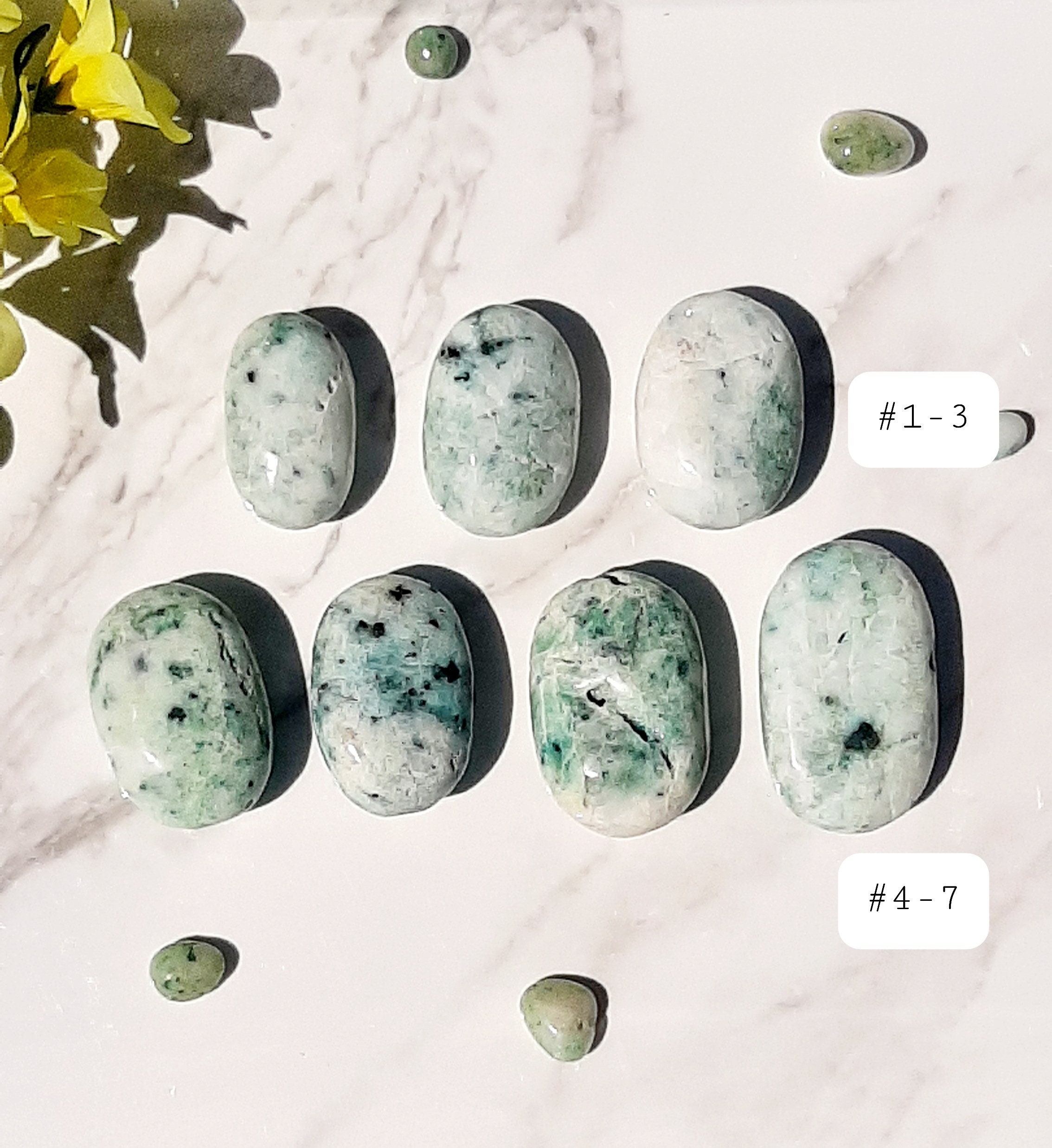 Phoenix Palmstone Phoenix Crystal Palm Phoenix Stone Phoenix Crystal ...