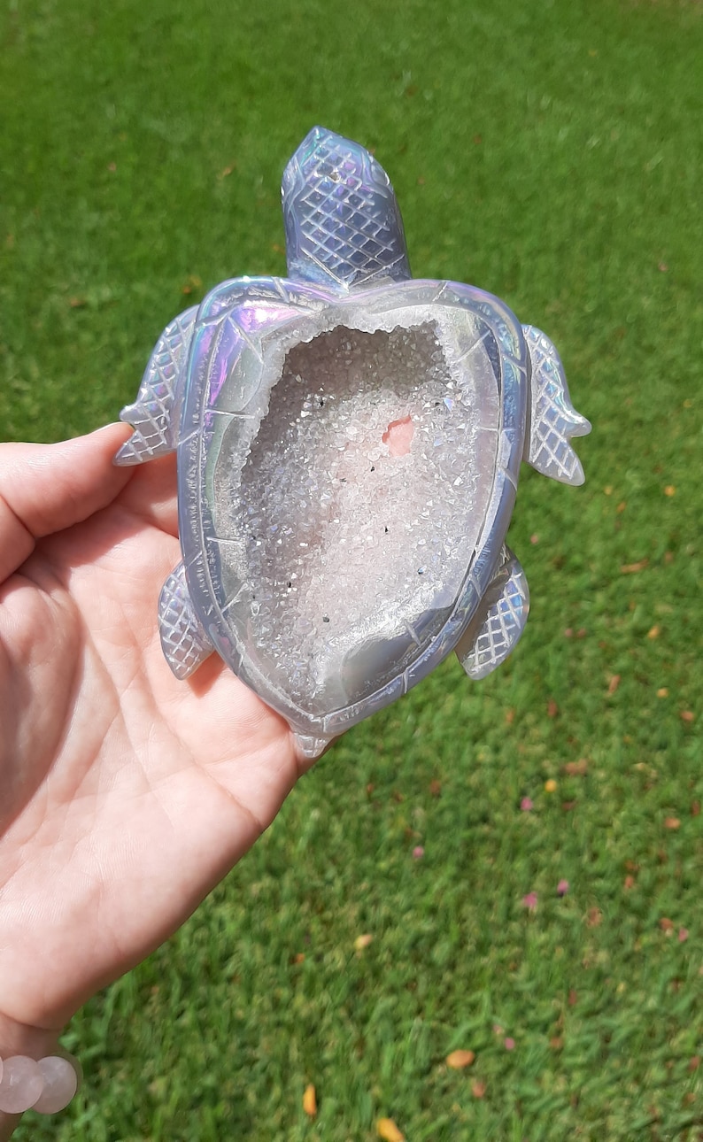 Turtle Aura Agate Turtle Druzy Agate Turtle Agate Crystal Turtle ...