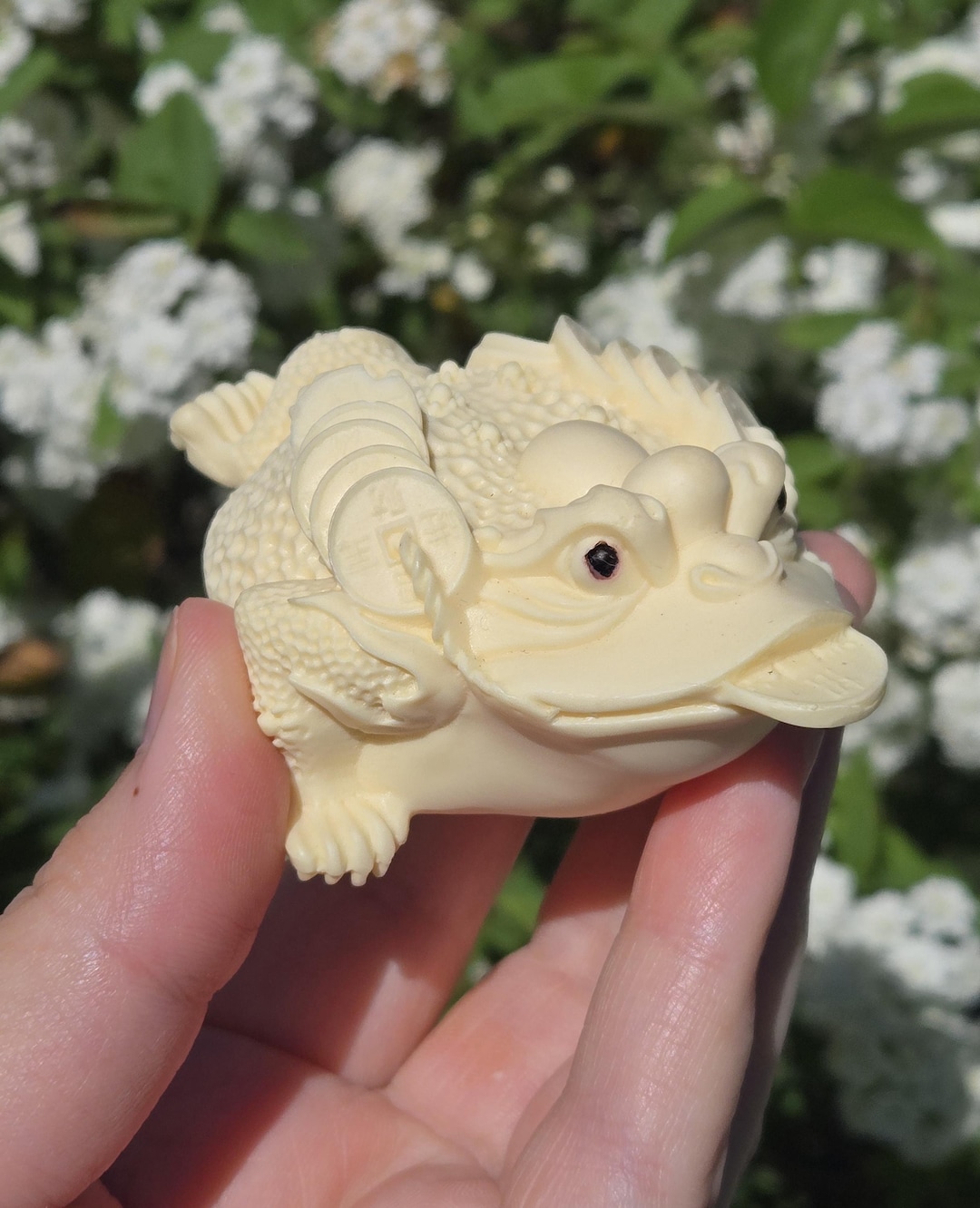 Money Toad, Tagua Nut Money Toad, Ivory Nut Money Toad, Wealth Crystal ...