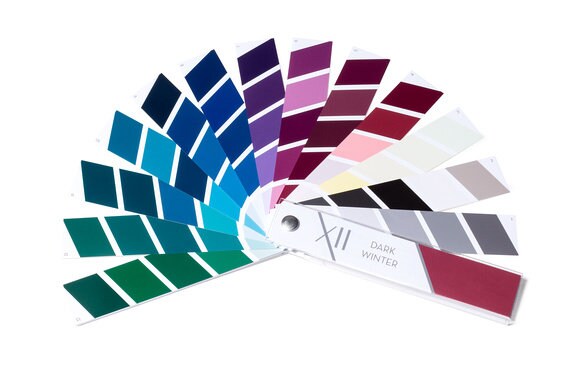 Dark Winter Color Palette/fan - Etsy