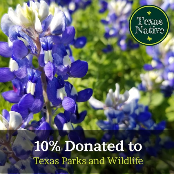 Texas Native - Etsy