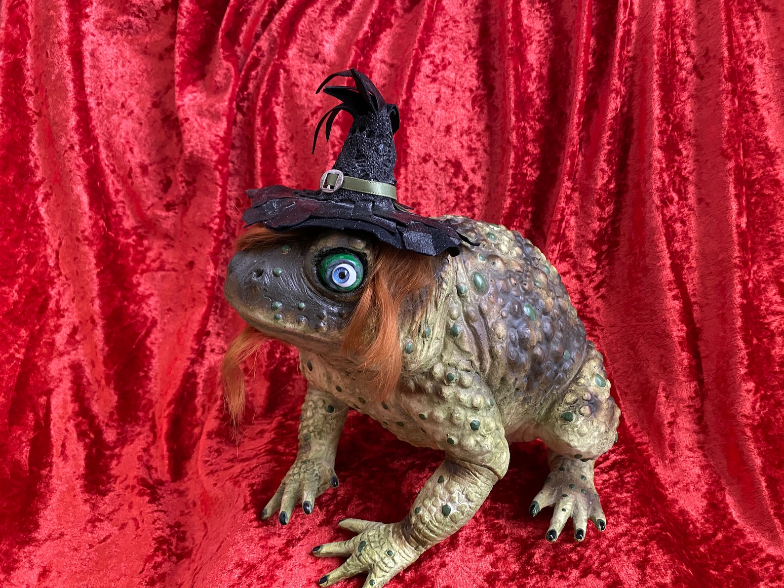 Witch Toad Prop, Witches Familiar, Ooak Halloween Magical Ceature Prop ...
