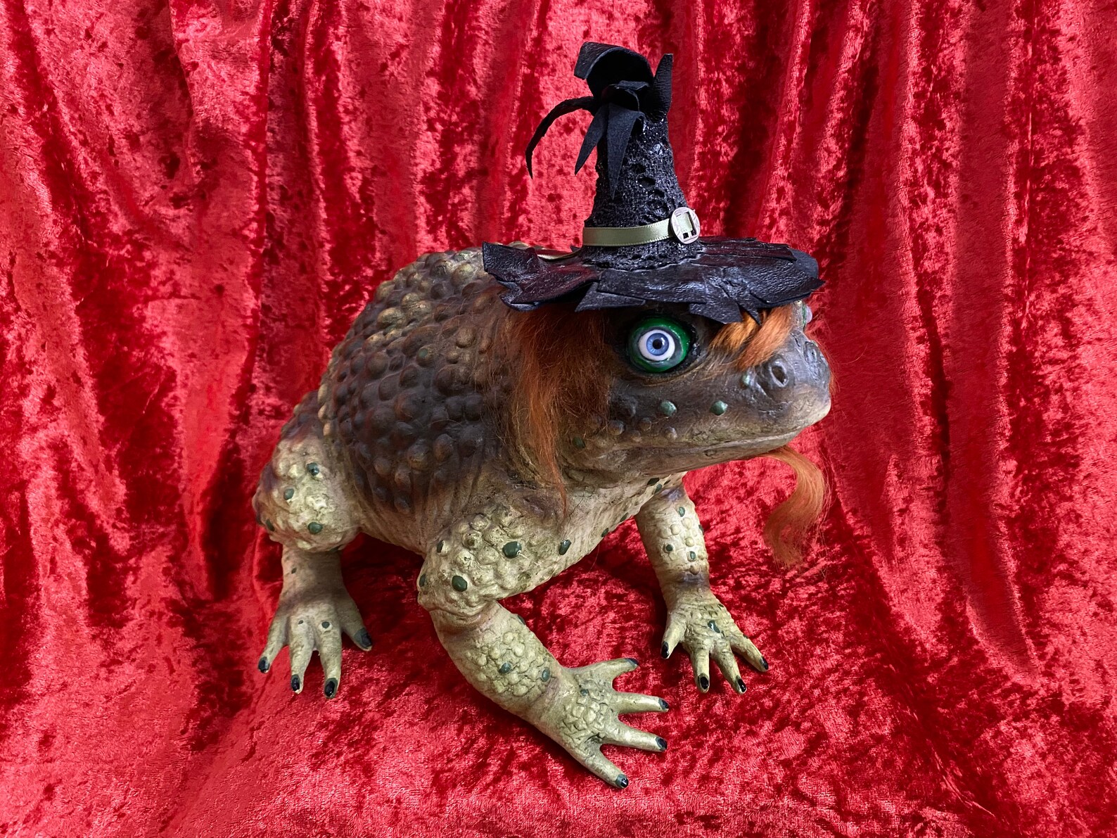 Witch Toad Prop Witches Familiar Ooak Halloween Magical | Etsy