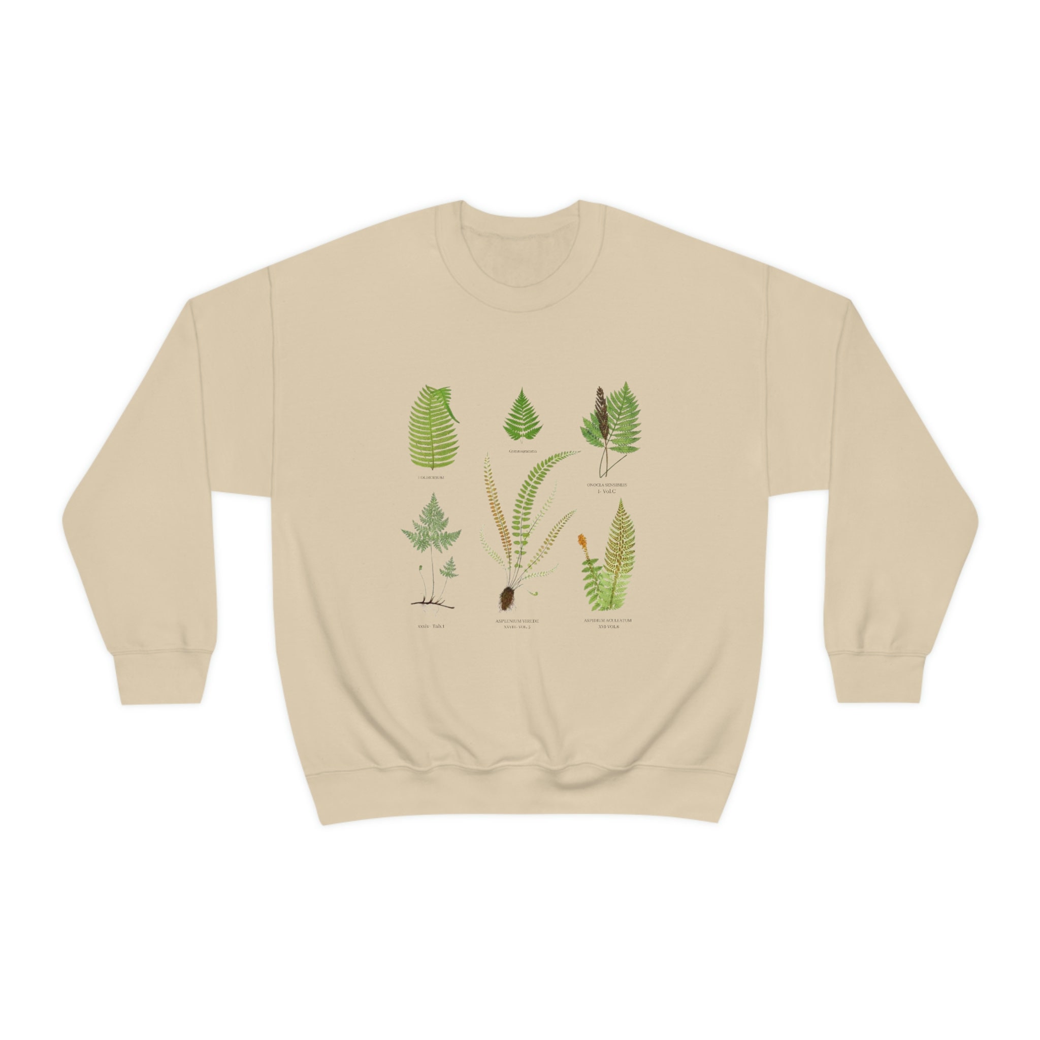 Fern Botanical Sweatshirt, Ferns Cottagecore Women's Clothing, Fern ...