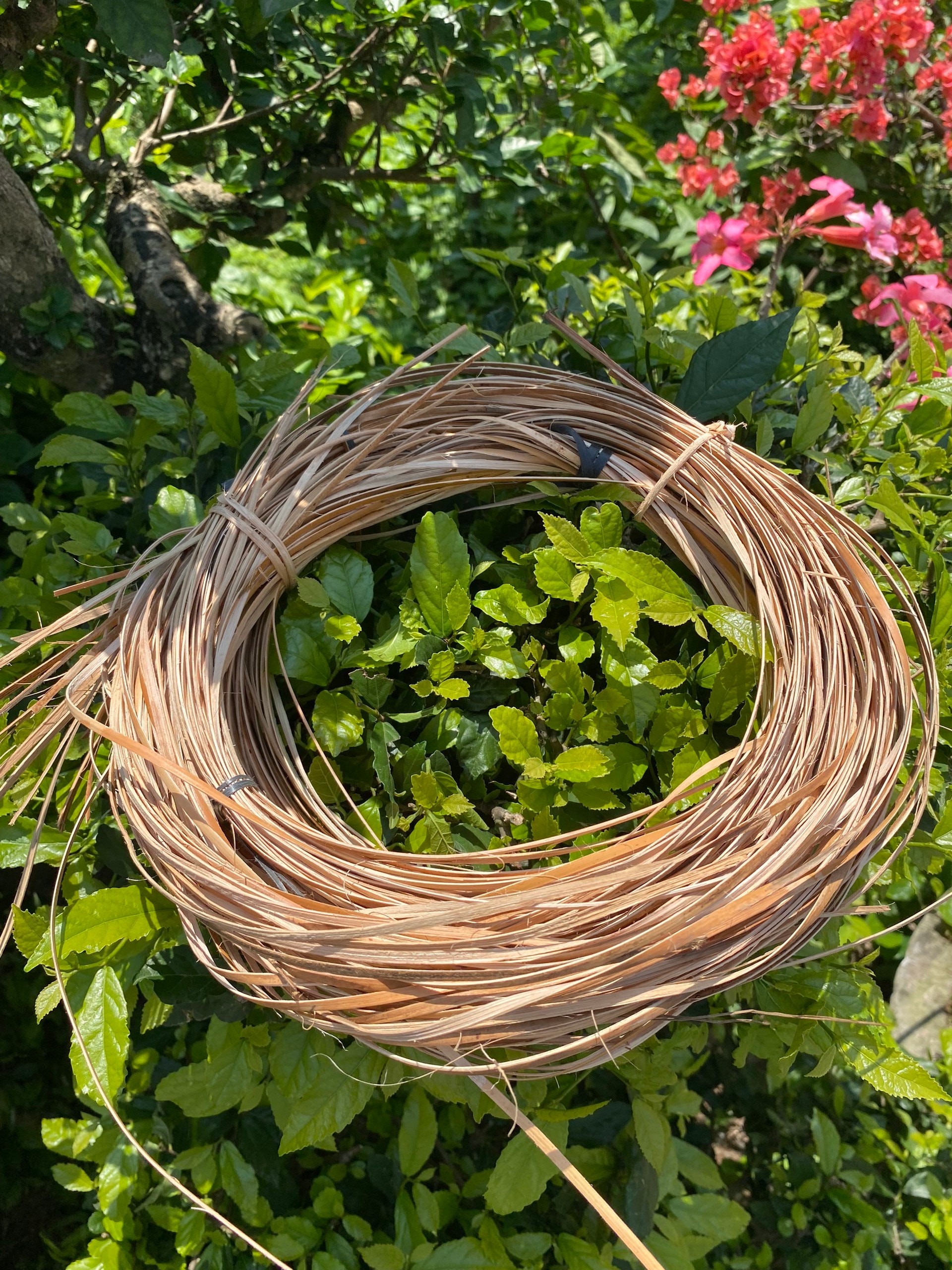 Rattan Spline Cane, Rattan Fine Cane for Repair Rattan Chair, Spline ...