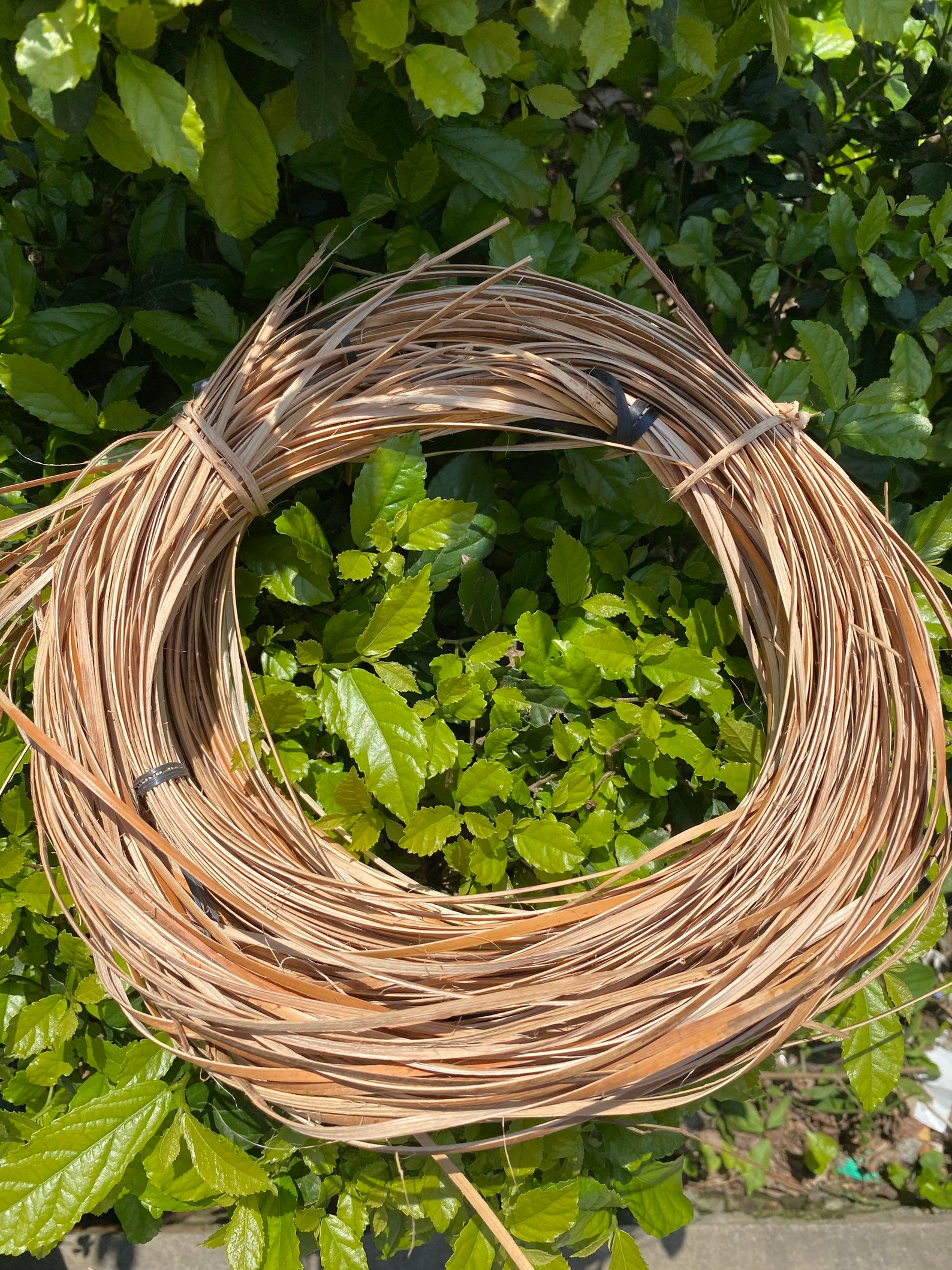 Rattan Spline Cane, Rattan Fine Cane for Repair Rattan Chair, Spline ...