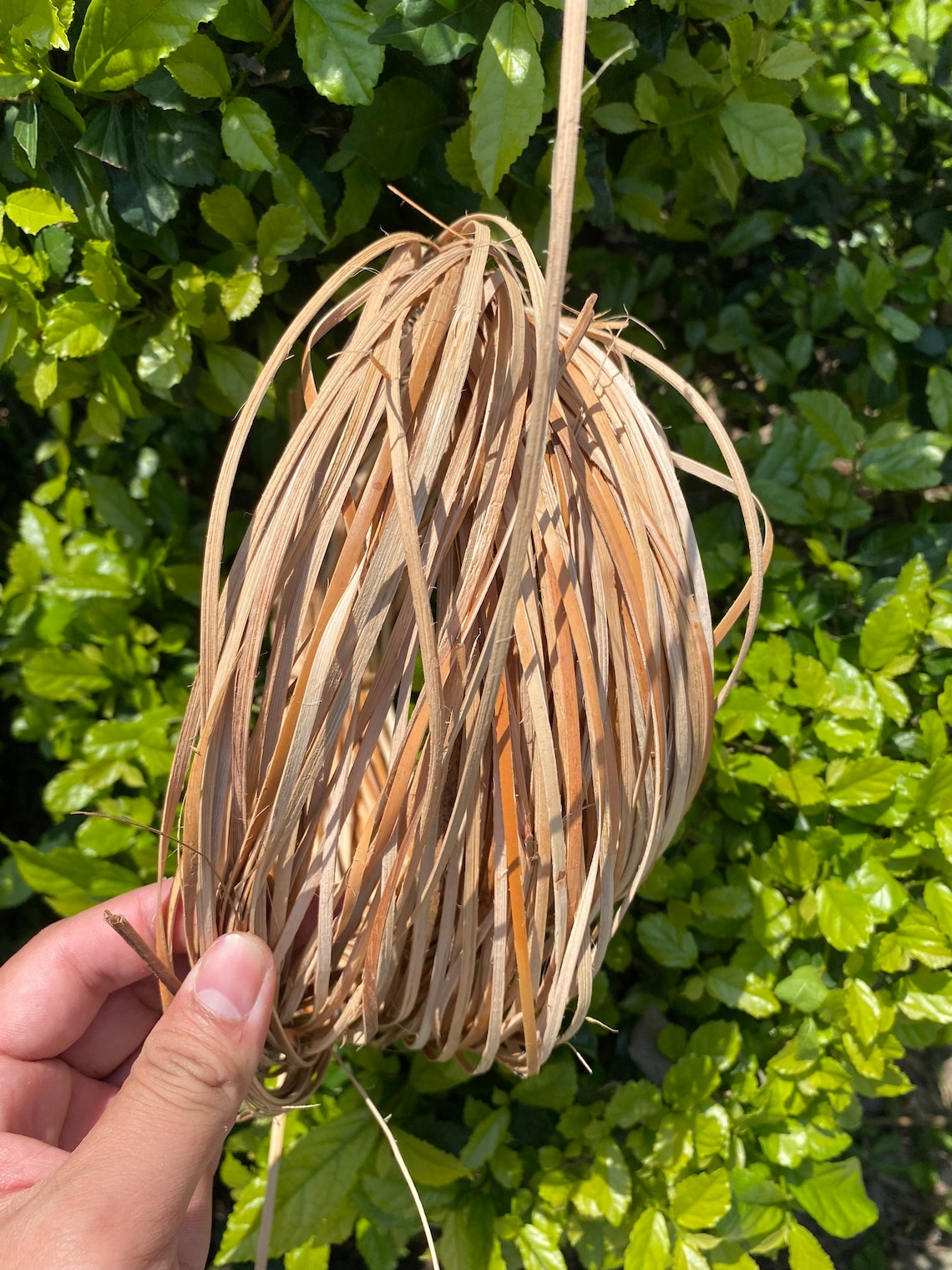 Rattan Spline Cane, Rattan Fine Cane for Repair Rattan Chair, Spline ...