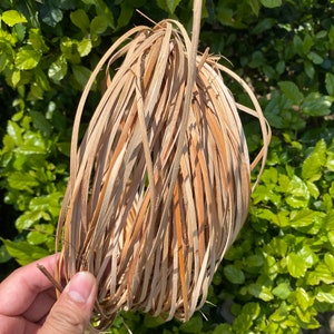 Rattan Spline Cane, Rattan Fine Cane for Repair Rattan Chair, Spline ...