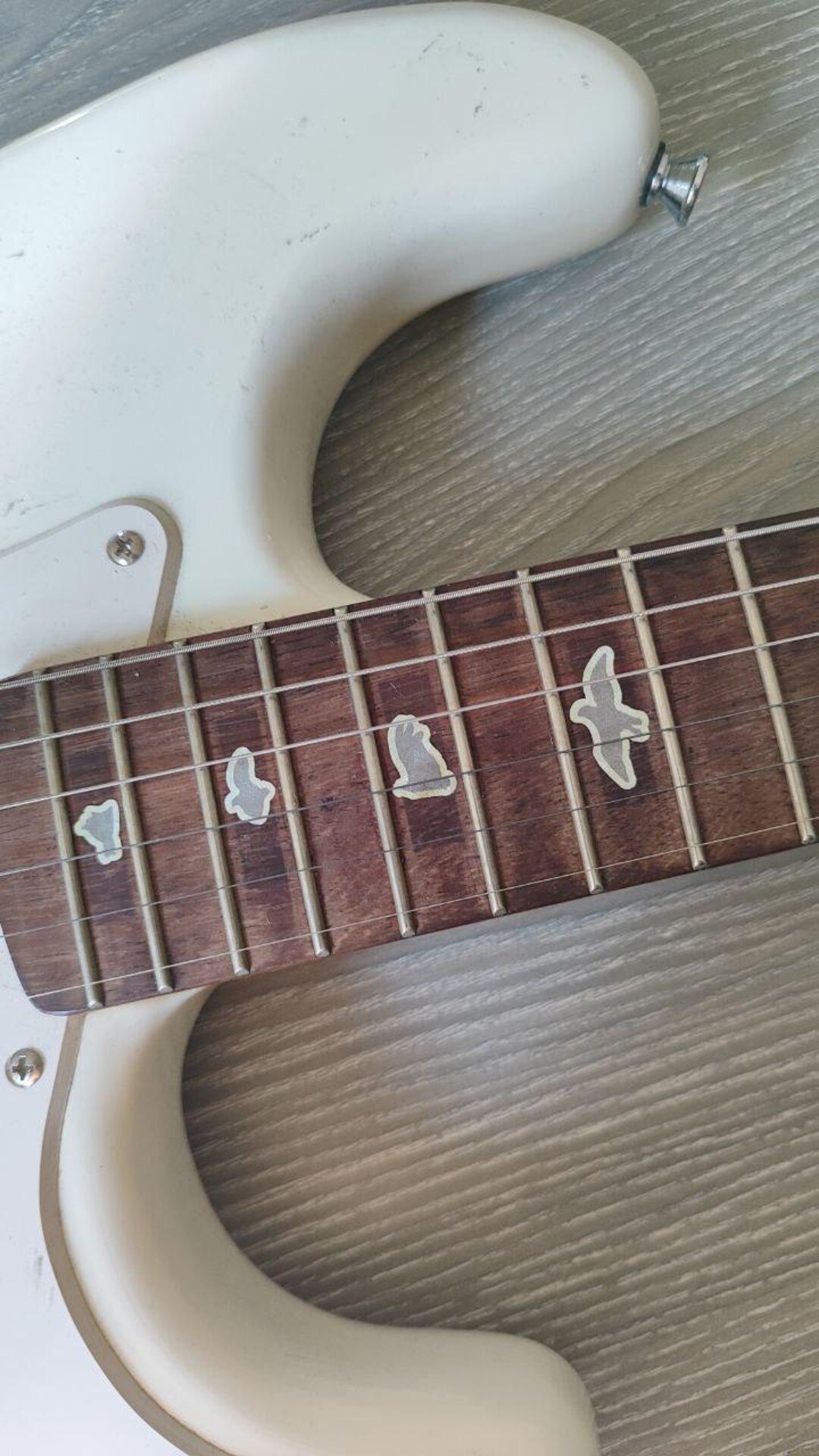 Black Bird Custom Inlay Sticker Fretboard Set for Guitar - Etsy