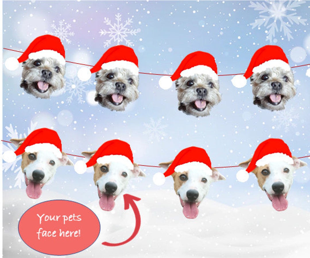 CUSTOM Pet Santa Personalised Photo Christmas Santa Hat Bunting Dog Cat ...