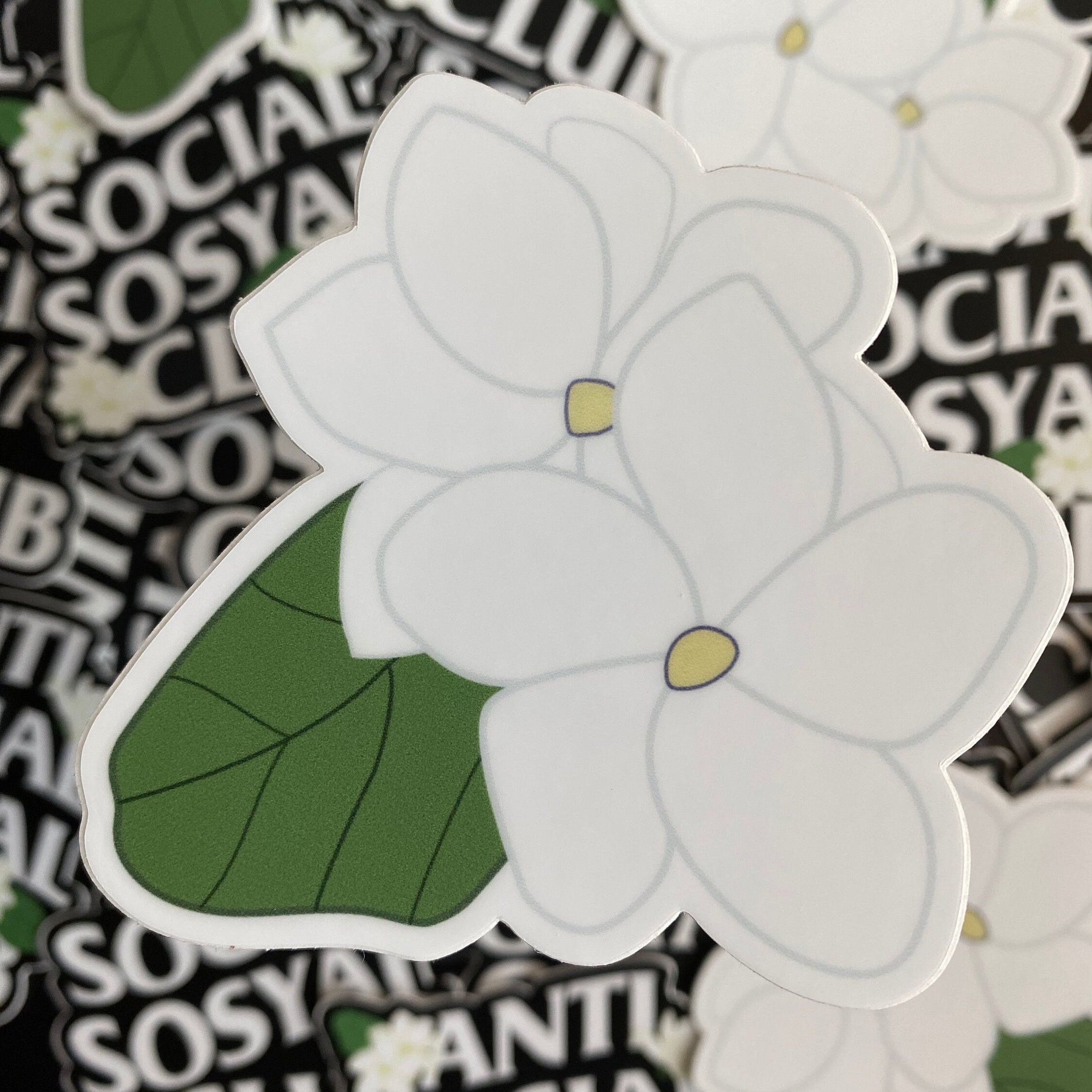 Philippine National Flower Sampaguita Drawing