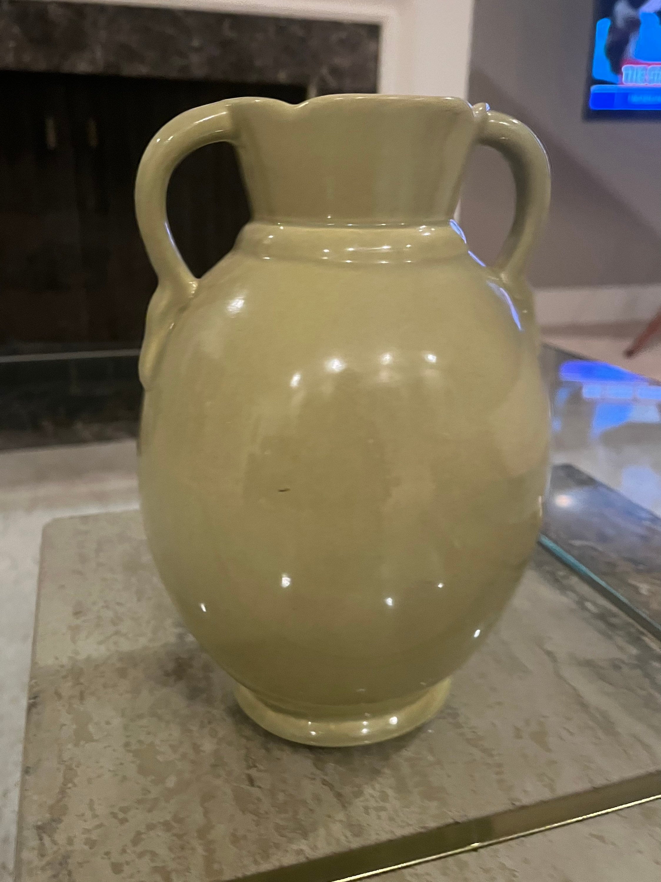 Red Wing Pottery Vase Magnolia Pattern Double Handled Light Green ...