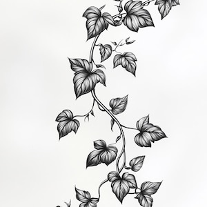 Black & White Ivy Vine Tattoo-style Drawing With Bold, Clear Lines ...