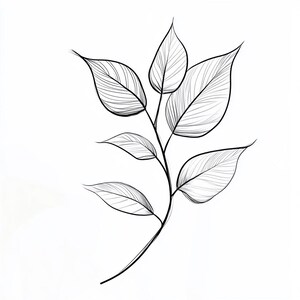 Black Outline Leaf Line Art Sketch | Black & White Digital Print ...