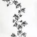 Black & White Ivy Vine Tattoo-style Drawing With Bold, Clear Lines ...