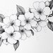 Black & White Japanese Cherry Blossoms Drawing - Dotwork Tattoo ...