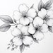 Black & White Japanese Cherry Blossoms Drawing - Dotwork Tattoo ...