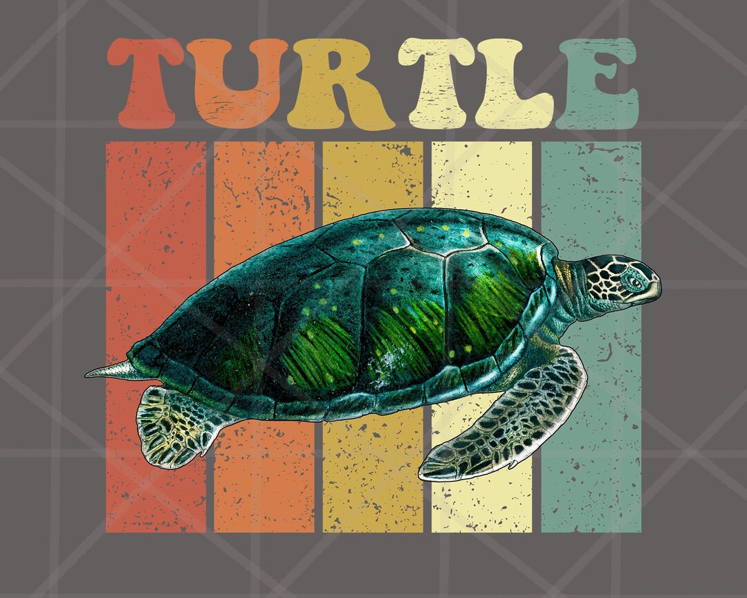 3 Design Vintage Turtle PNG Retro Animal Design Ocean Turtle - Etsy