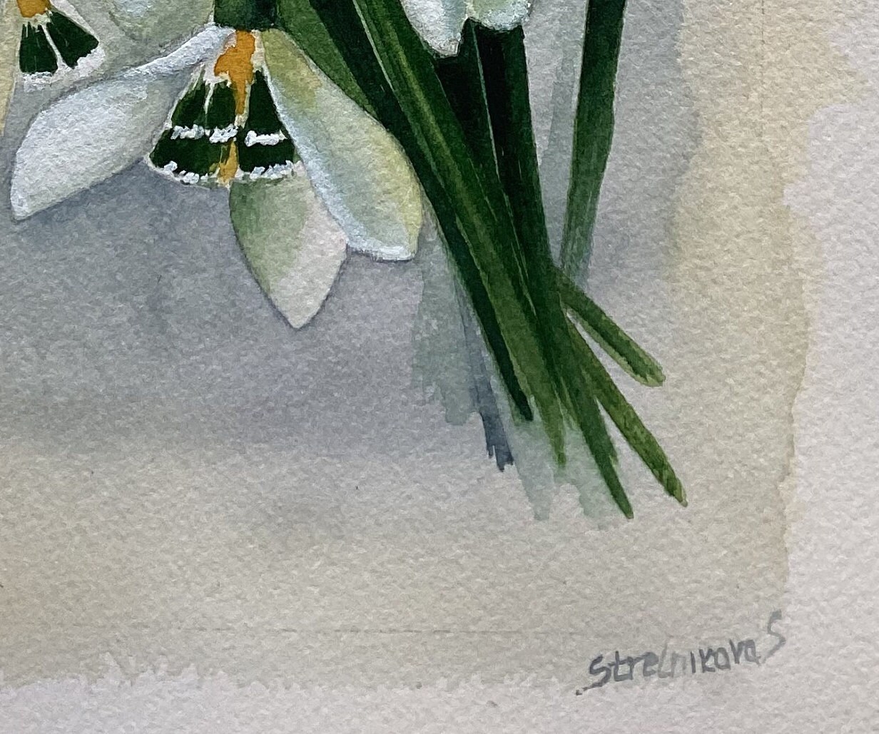 Snowdrops Painting Snowdrops Art Flowers Wall Art Original Watercolor ...