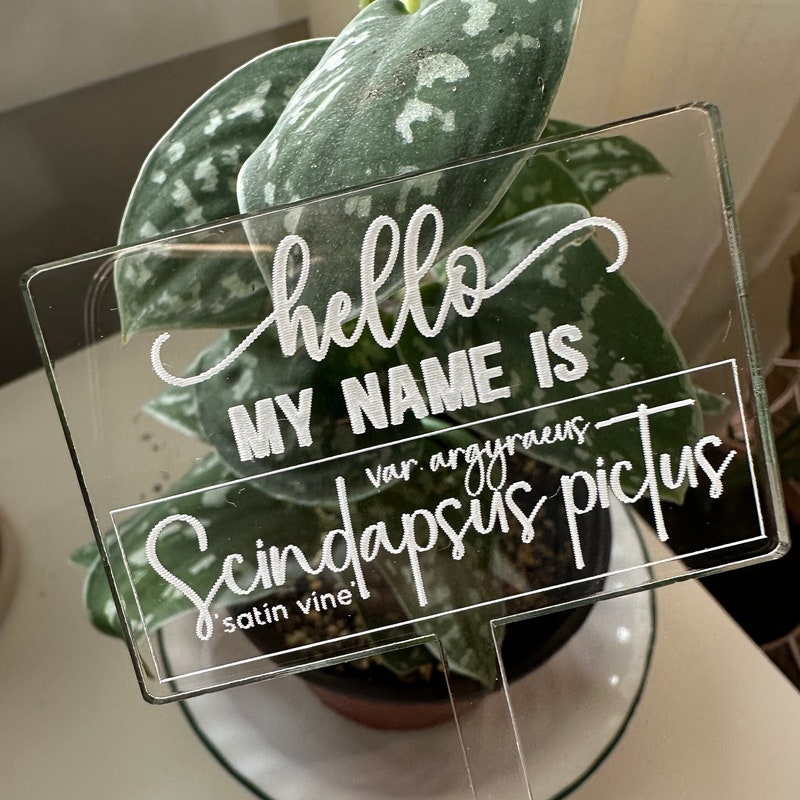 Plant Name Tags - Etsy