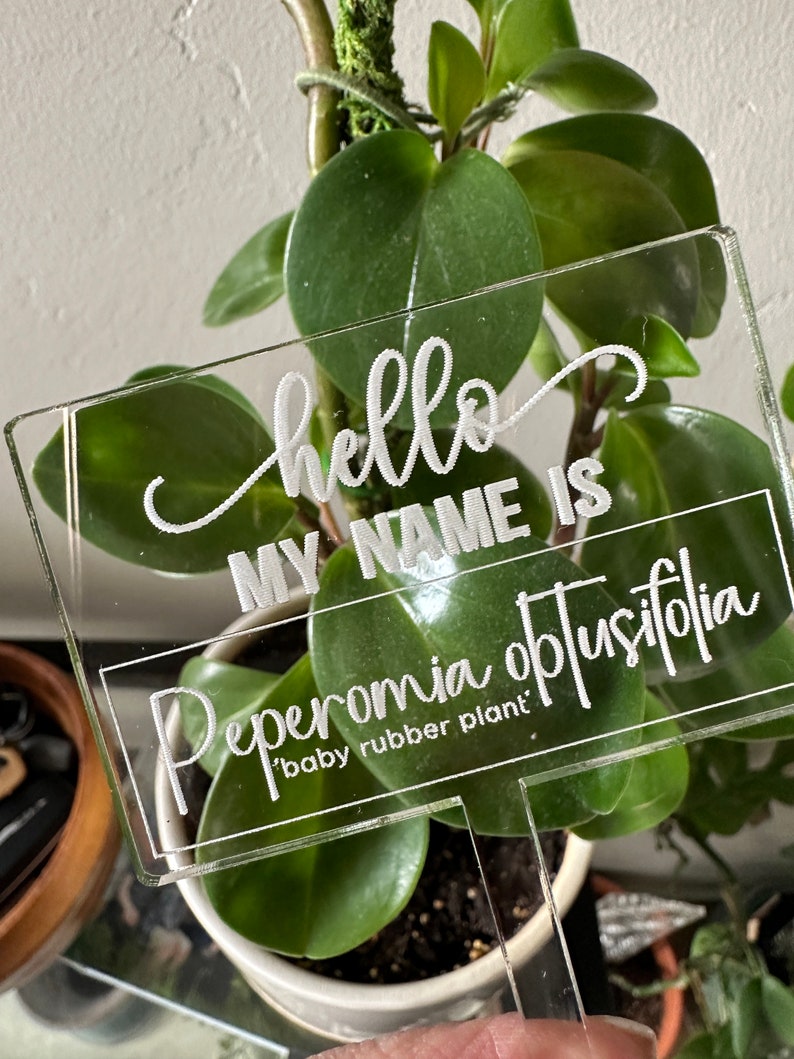 Plant Name Tag Plant Identification Plant Parent Hello - Etsy