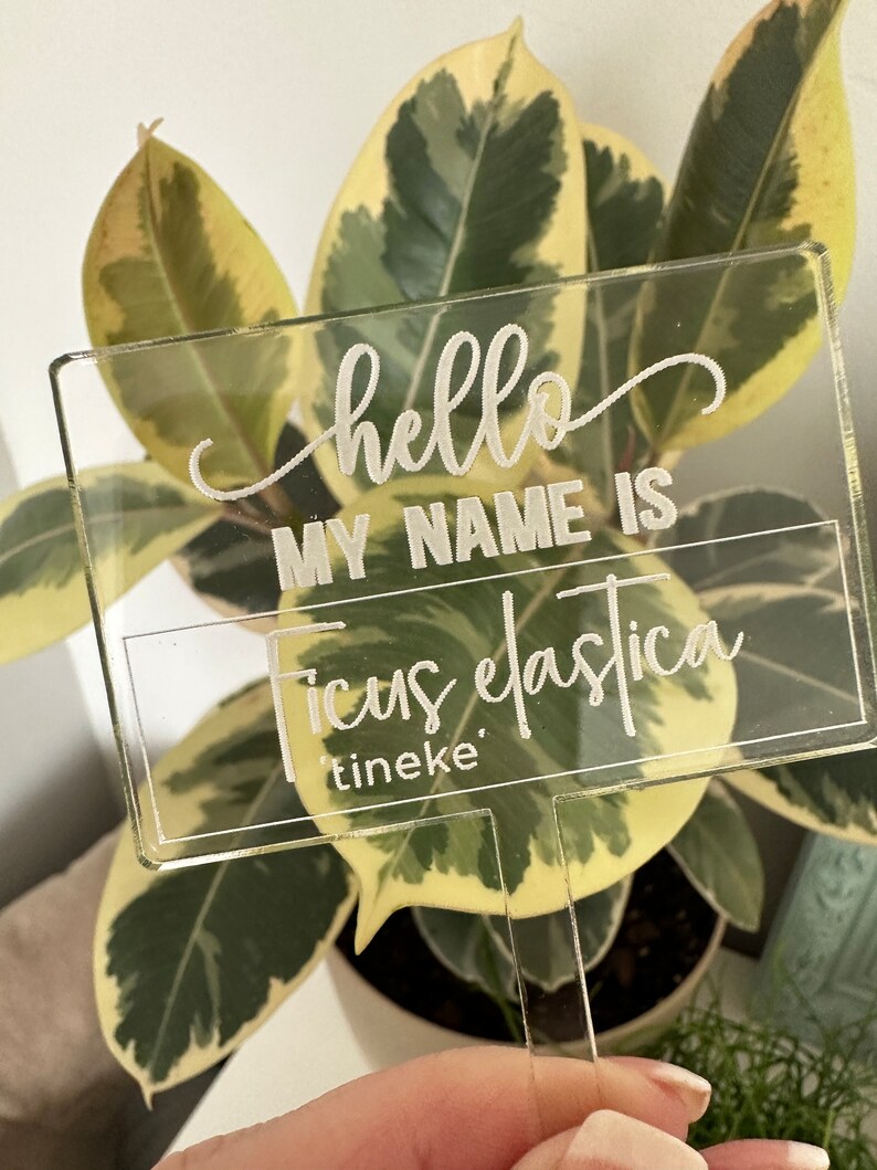 Plant Name Tag Plant Identification Plant Parent Hello - Etsy