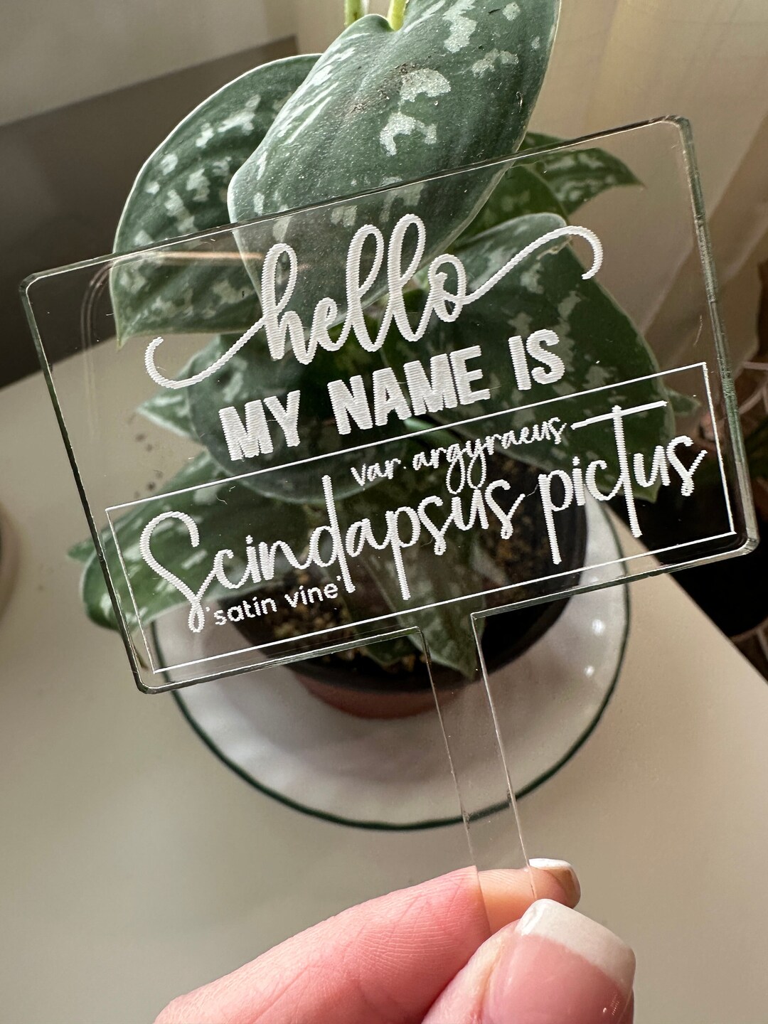 Plant Name Tag - Plant Identification - Plant Parent - Hello My Name is ...