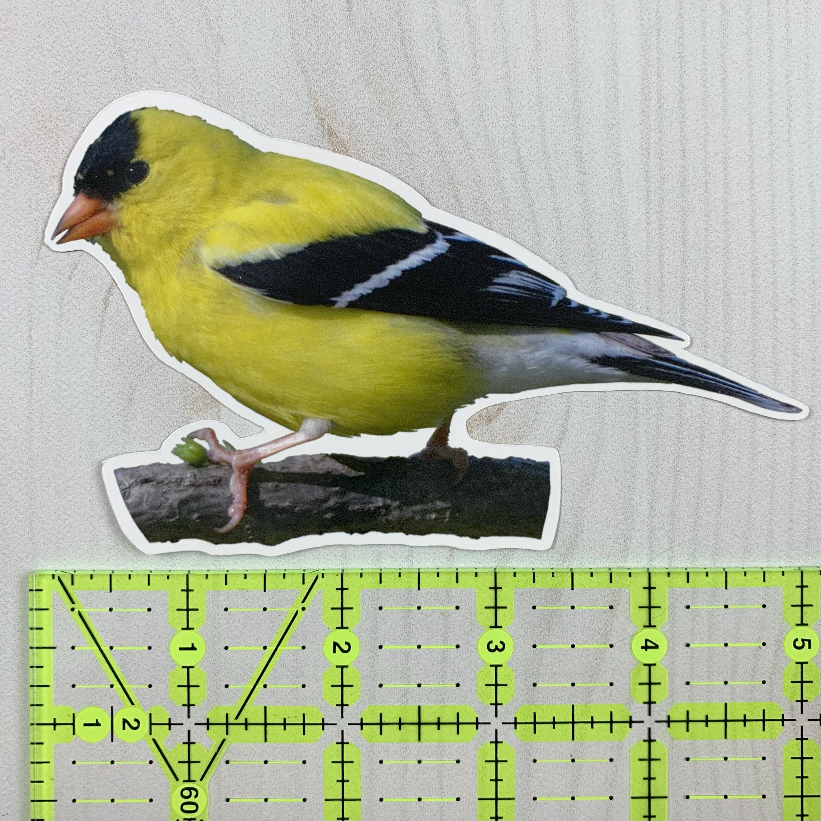 Goldfinch Matte Vinyl Sticker - Etsy