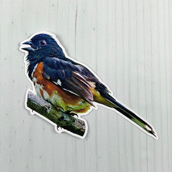 Towhee - Etsy