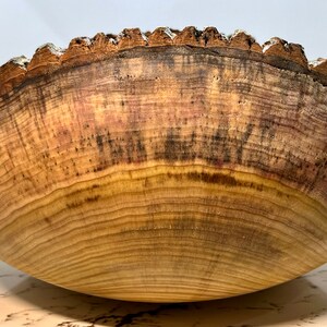 Natural Edge Poplar Hand Turned Wood Bowl Bear Creek Bowl Company - Etsy