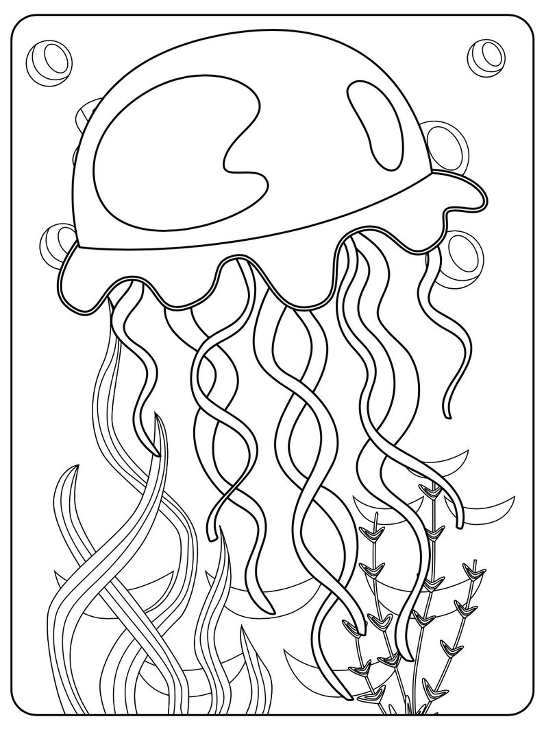 Sea Life Coloring Pages - Etsy