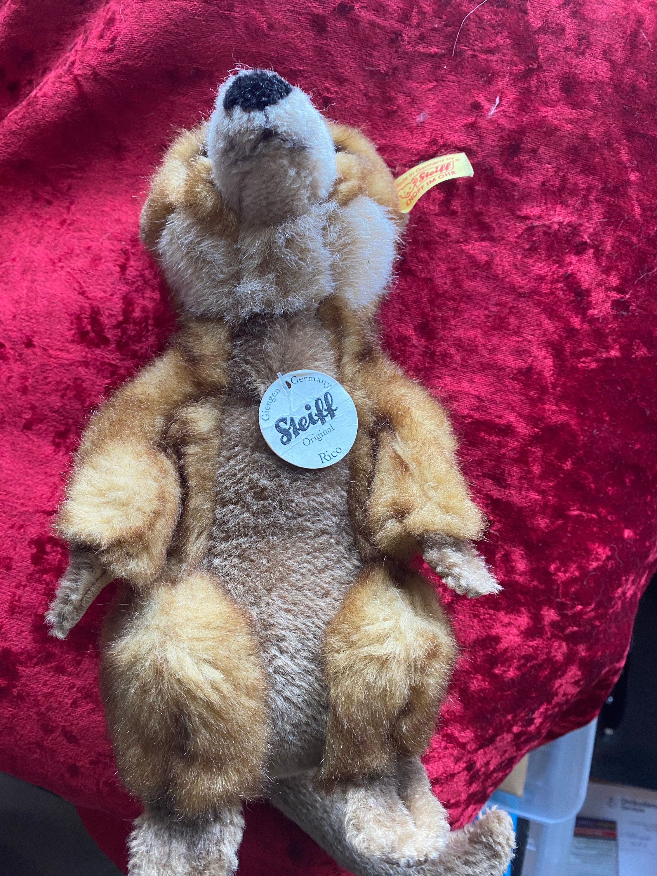 Steiff Rico Meercat Toys & Games Stuffed Animals & Plushies Bears etna.com.pe