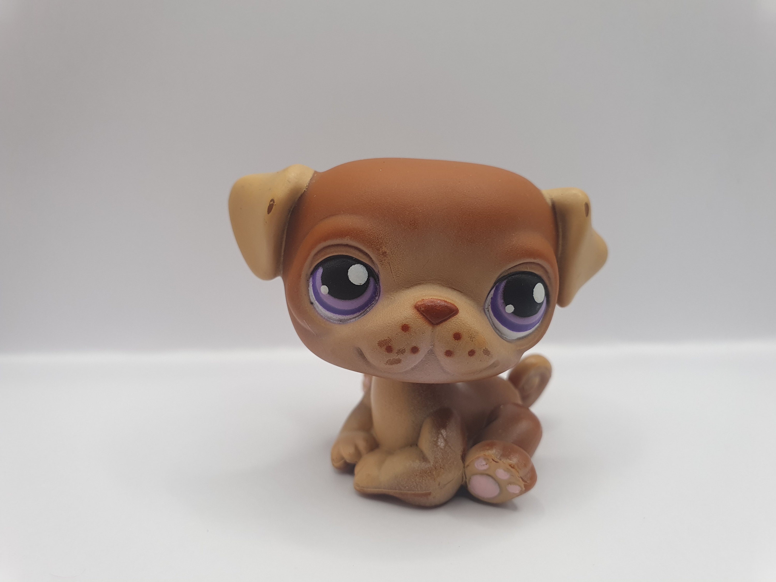 LPS 133 Pug Authentic Littlest Pet Shop - Etsy