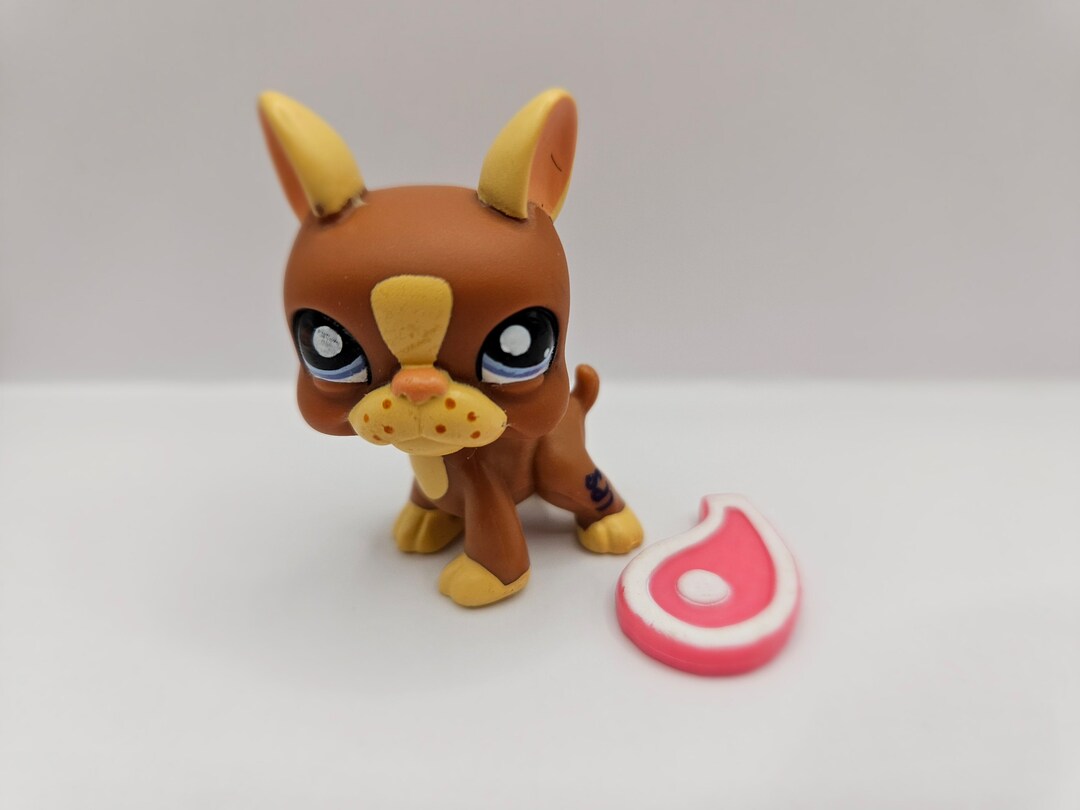 LPS 1789 Boston Terrier Authentic Littlest Pet Shop - Etsy