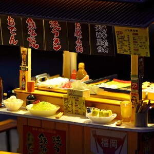 DIY Japanese Yatai Teppanyaki Miniature Kit: Craft Dollhouse Gift ...