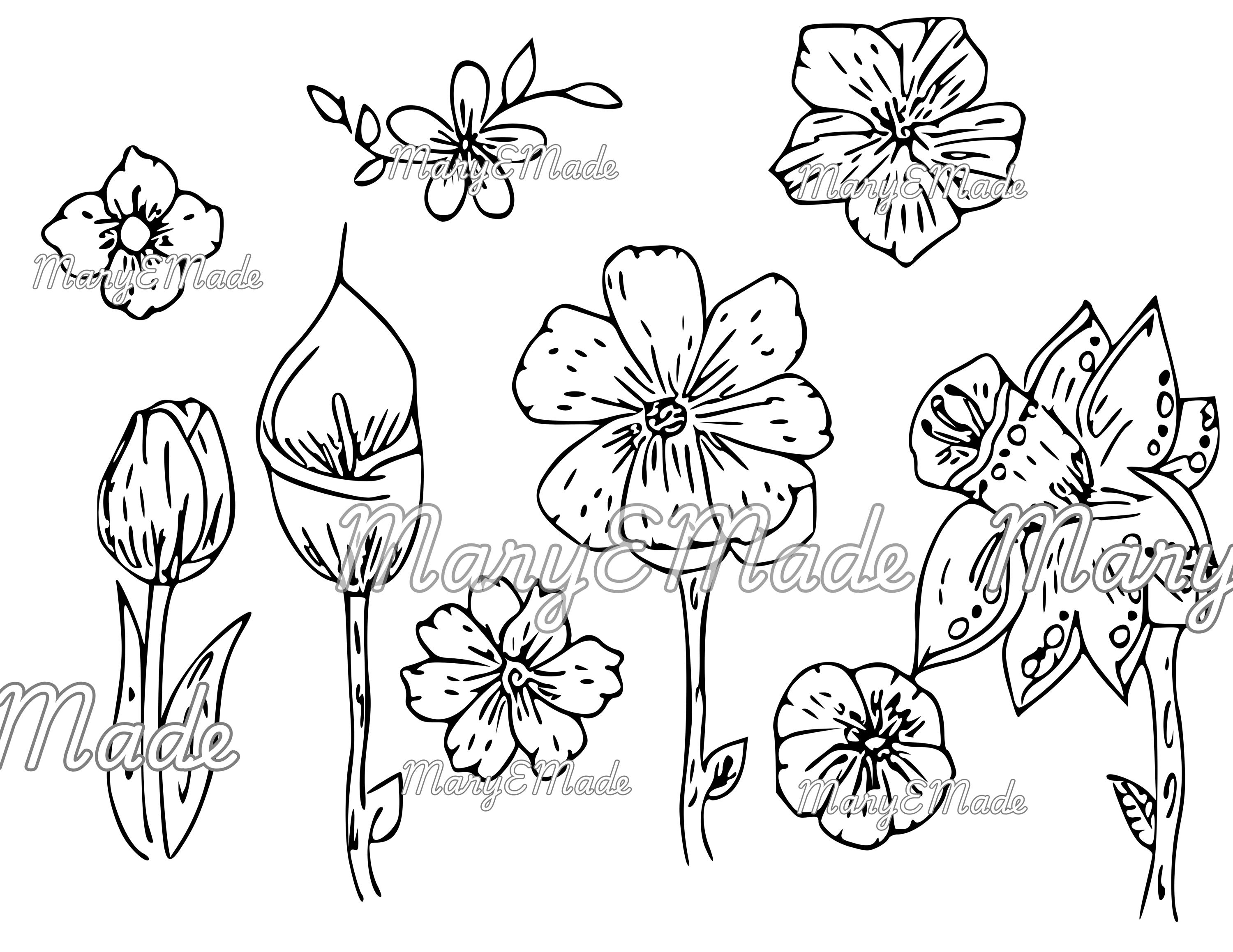 Simply Flowers Printable Color Page Original Artwork Not Ai - Etsy